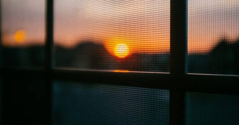 The Ultimate Guide to Choosing the Right Window Screen Material ...